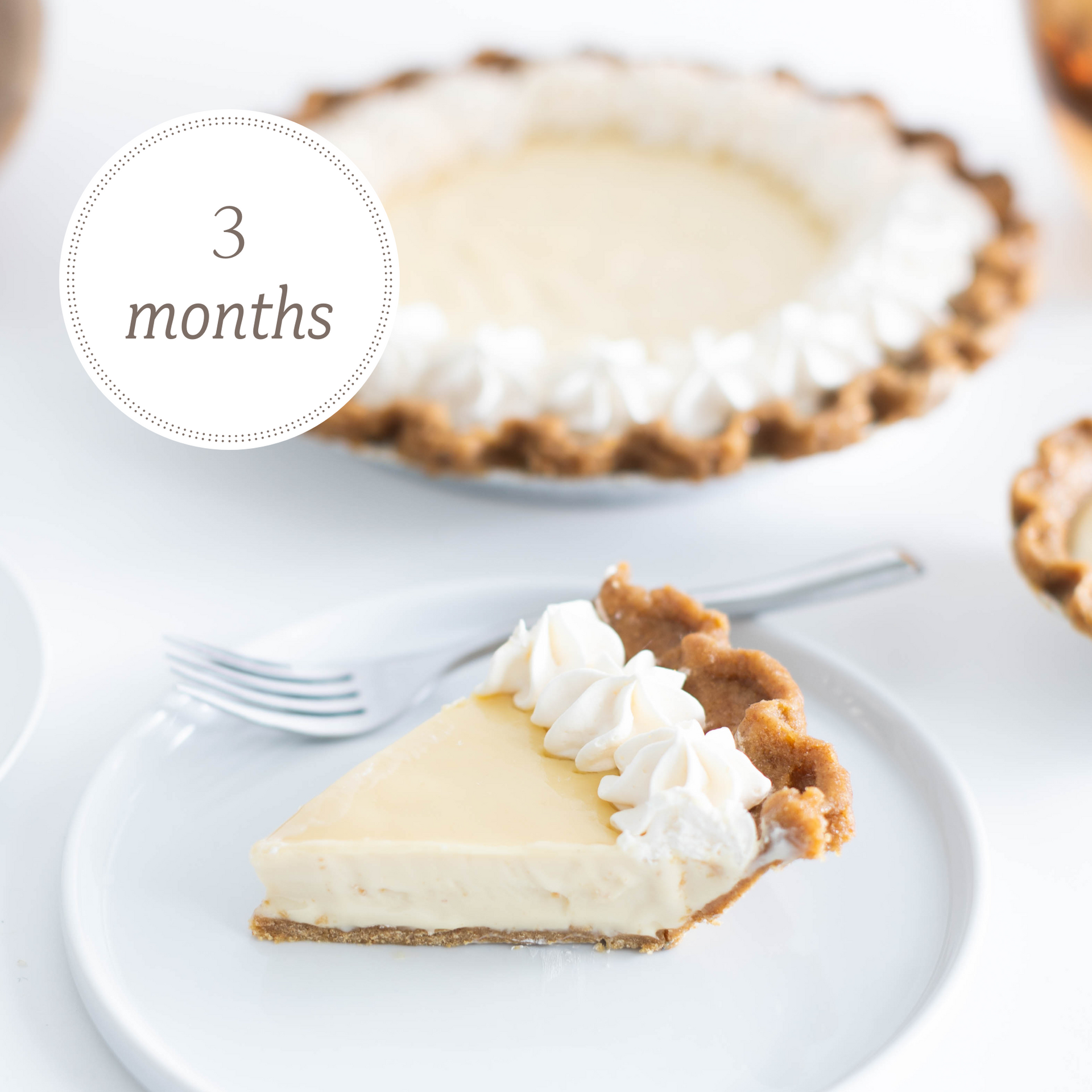 Baking and Warming Instructions for Southern Baked Pies – Southern ...